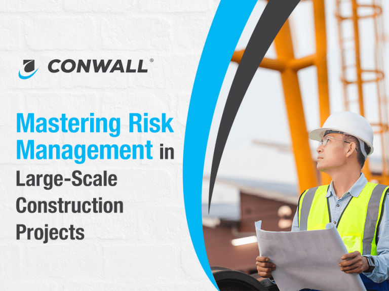 A Survival Guide for EPC Success in Risk Management in Mega-Projects